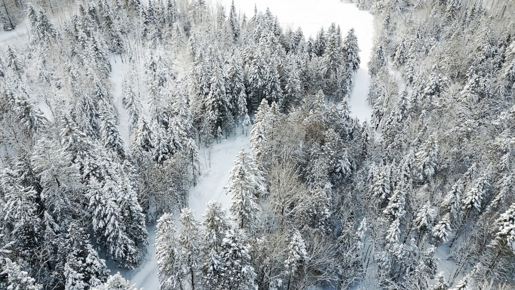 Jour 5 – Jonathan Houle Photographie