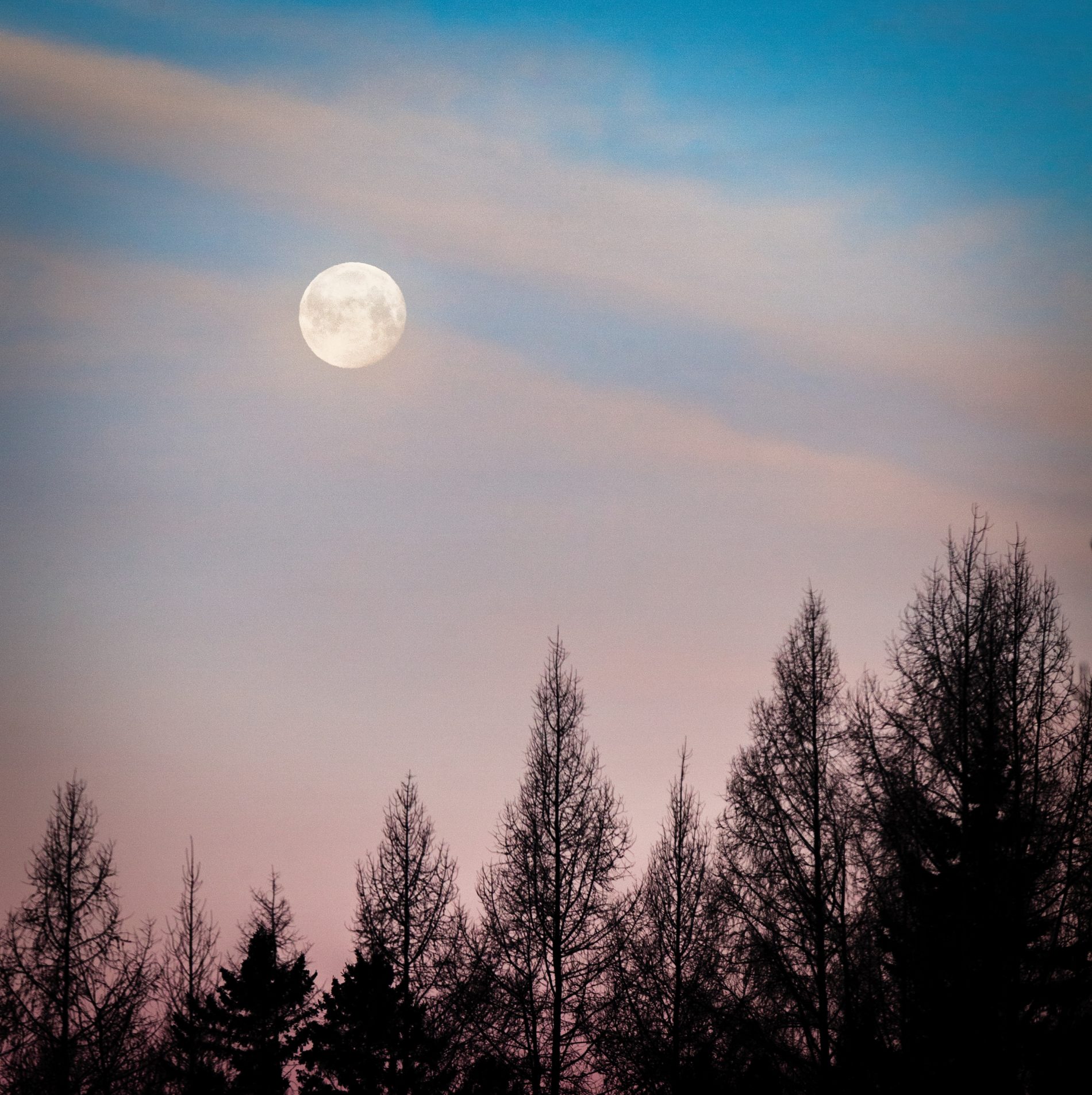Jour 42 – Jonathan Houle Photographie