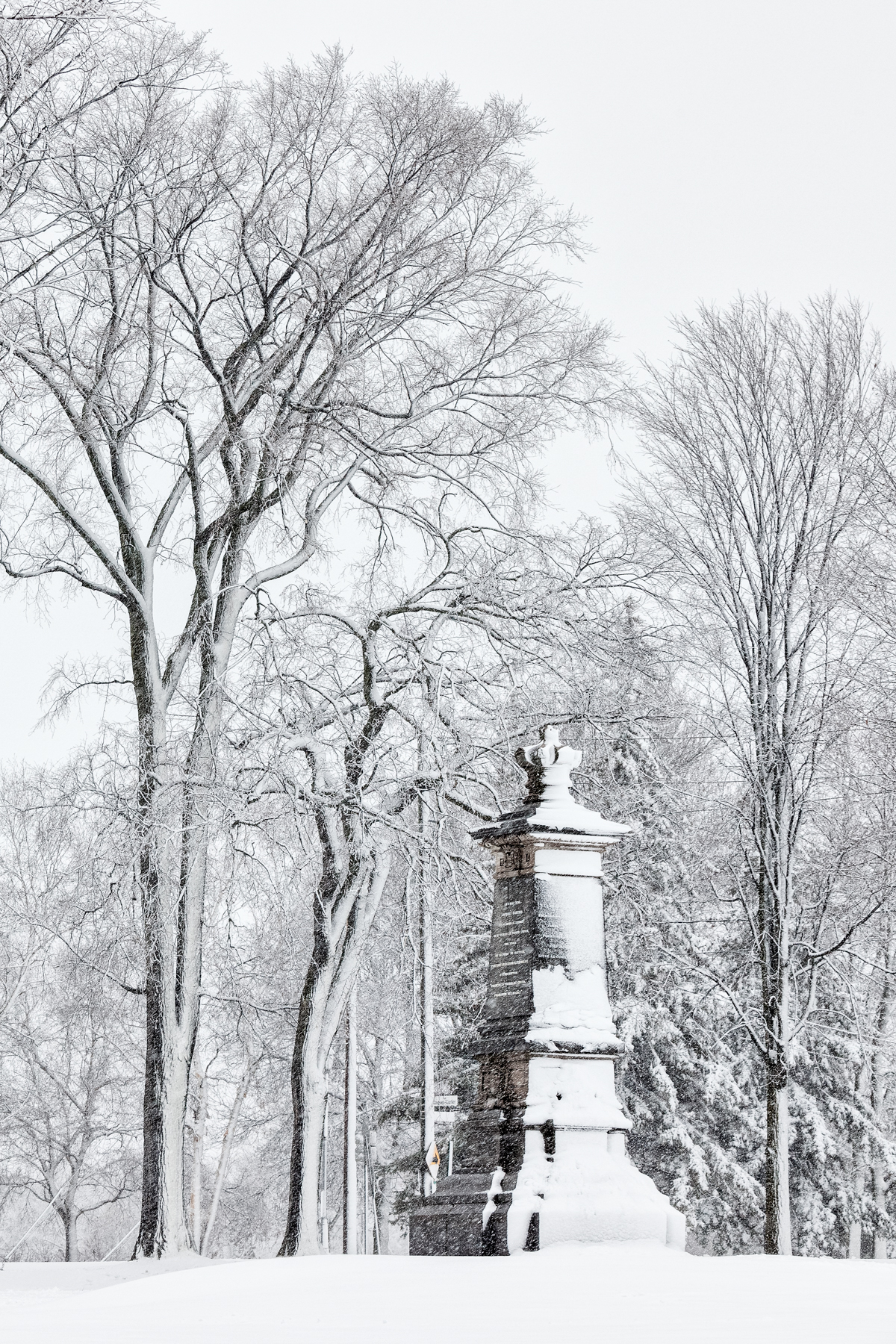 Jour 36 – Jonathan Houle Photographie