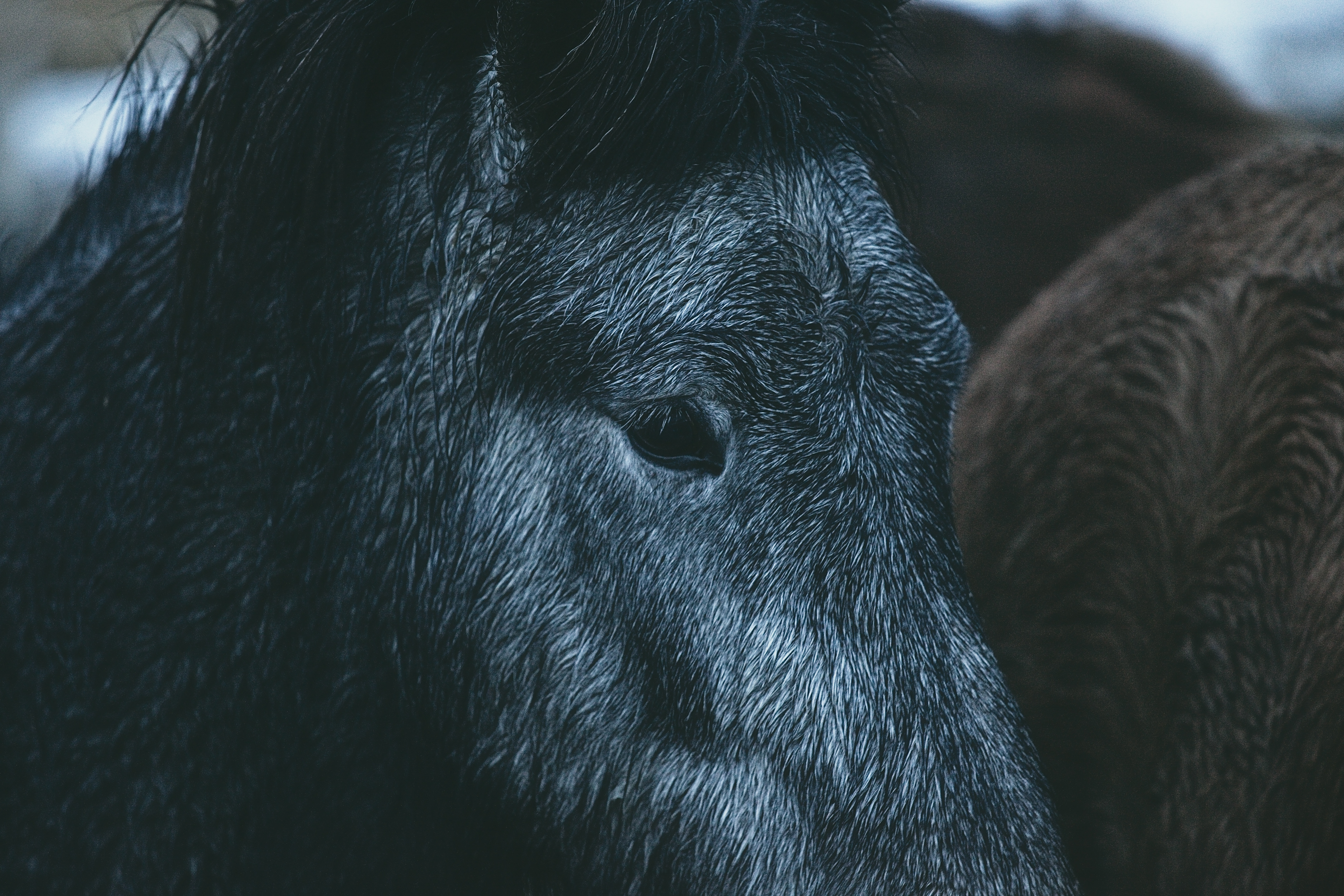 Jour 62 – Jonathan Houle Photographie